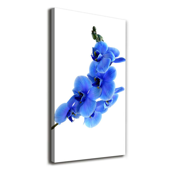 Sansibar Home Blaue Orchidee - Kunstdrucke auf Leinwand - Wrapped Canvas | Wayfair.de